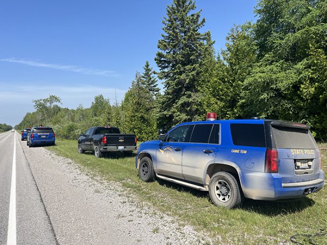 Part of deaths investigation, police search wooded area in Alpena ...